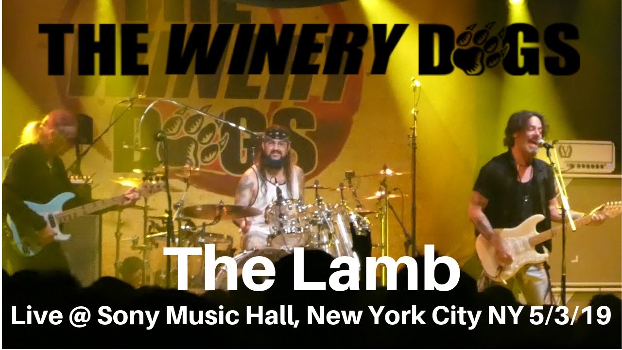 the-winery-dogs-the-lamb-live-sony-music-hall-nyc-5-3-19-youtube