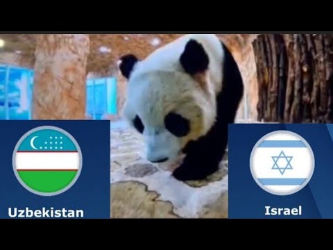 Uzbekistan vs Israel Prediction - U20 World Cup 2023 - Panda Prediction ...