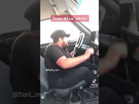 tosu zengilanli niva sürür