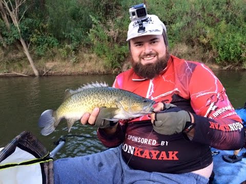 Bass and Mary Cod. Mary River Trip 2 Day 1 On Dragon Kayaks. - YouTube