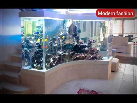 Modern & stylish fish aquarium tank - YouTube