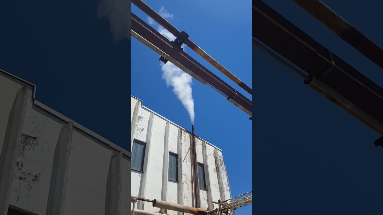 Steam lost caused by stem trap failure, flesh steam and by pass valve ...