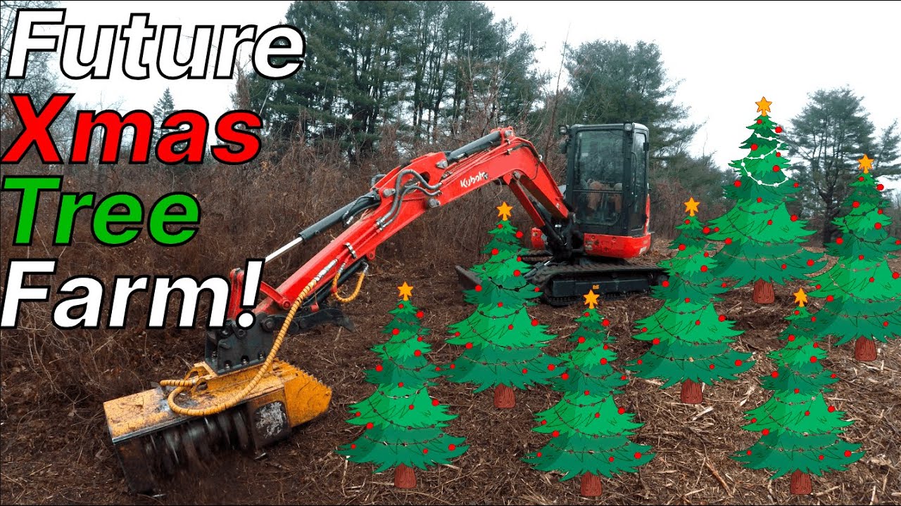 Clearing for a Christmas Tree Farm! - Avon, CT - YouTube
