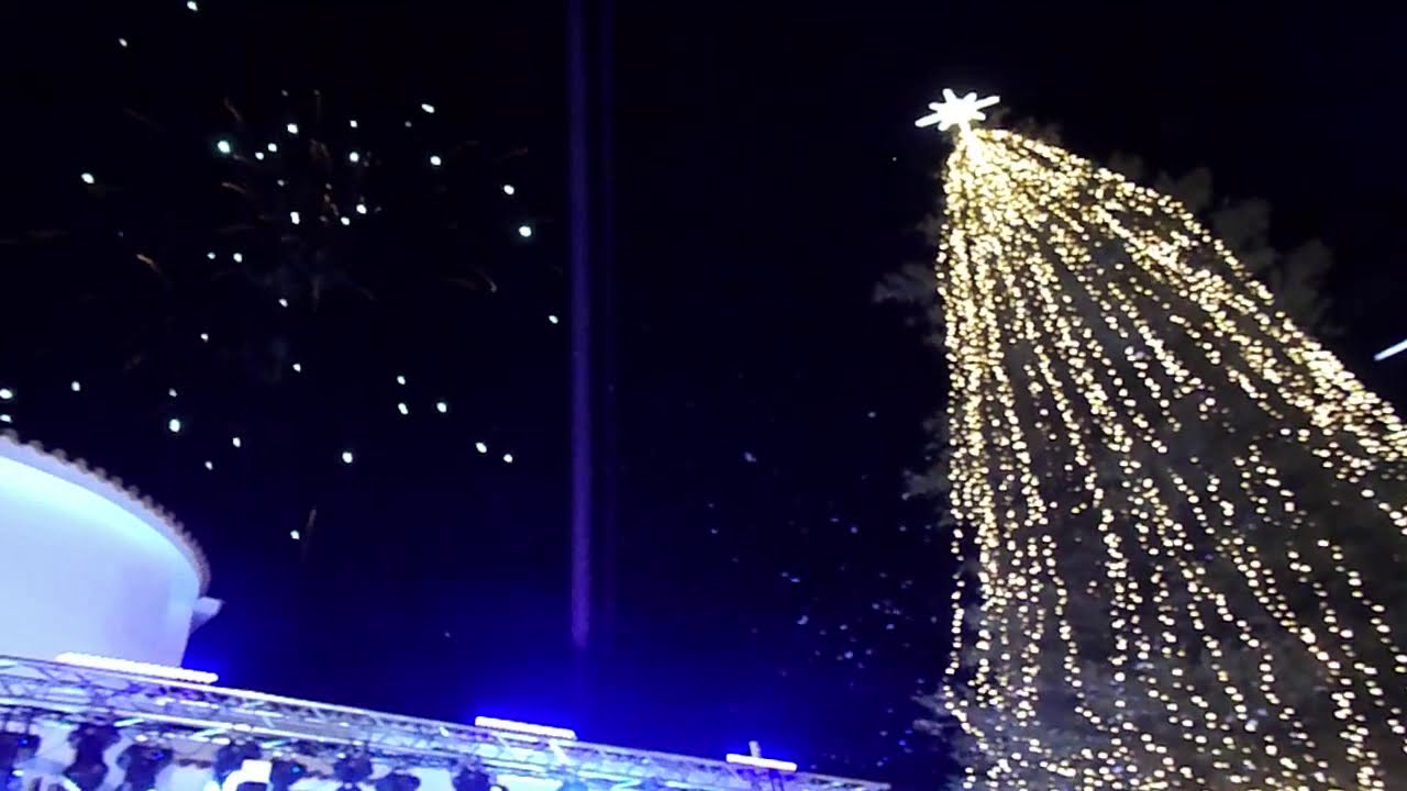 ΦΩΤΑΓΩΓΗΣΗ ΧΡΙΣΤΟΥΓΕΝΝΙΑΤΙΚΟΥ ΔΕΝΤΡΟΥ ΔΕ ΦΥΛΗΣ - YouTube