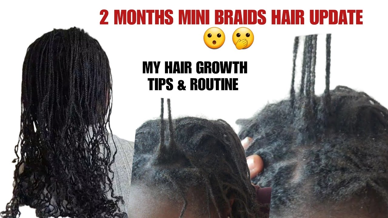2 MONTHS MINI BRAIDS UPDATE 🥰💃 guaranteed hair growth routine | Fast ...
