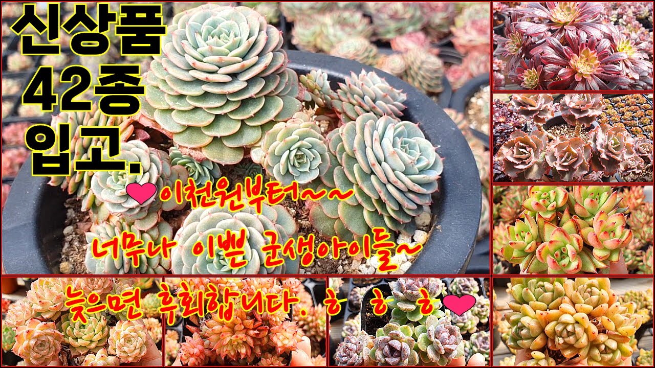 π3μ30μΌ λμλ€μ‘ πμ΄μ²μλΆν°~~ μ μν 42μ’
μ
κ³  νμμ μΈ μκ°μ κ΅°μμμ΄λ€ λ§λ보μΈμκ½νΌλλ€μ‘ μ΄μ²μμν볡착νκ°κ²©λ€μ‘λ€μ‘μ΄λ€μ‘μ΄ν€μ°κΈ°λ€μ‘μ΄λΆκ°μ΄ μ²μ