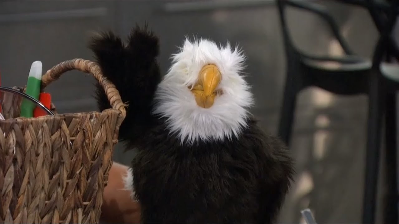 Victor's "Where's my money?!" eagle puppet show - YouTube