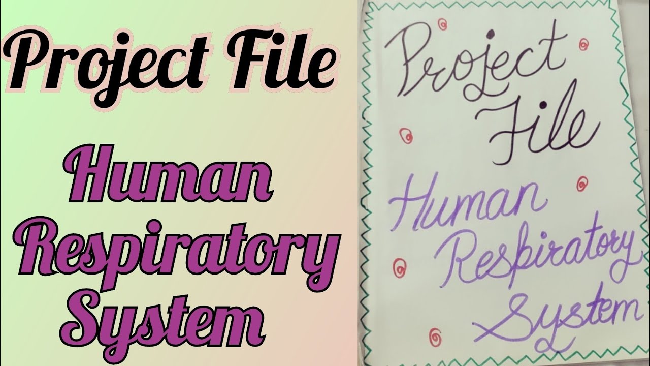 science project file/Human respiratory system project file/science ...