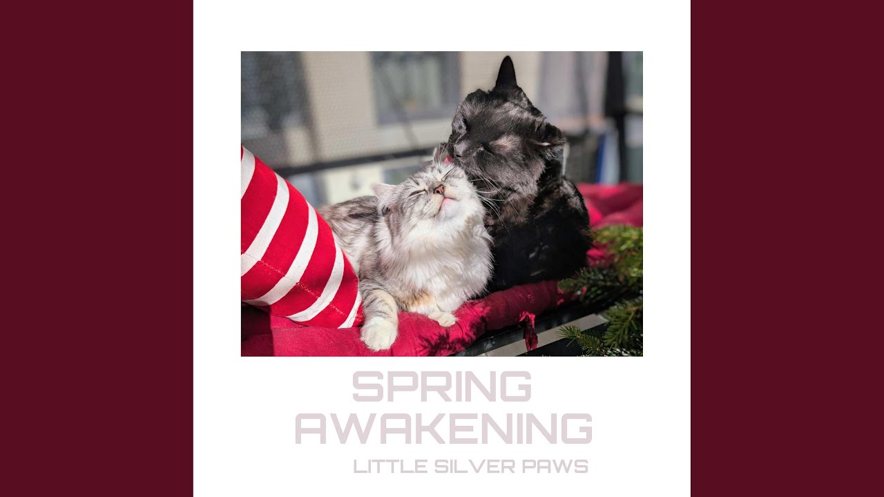 Spring Awakening (Little Silver Paws) - YouTube