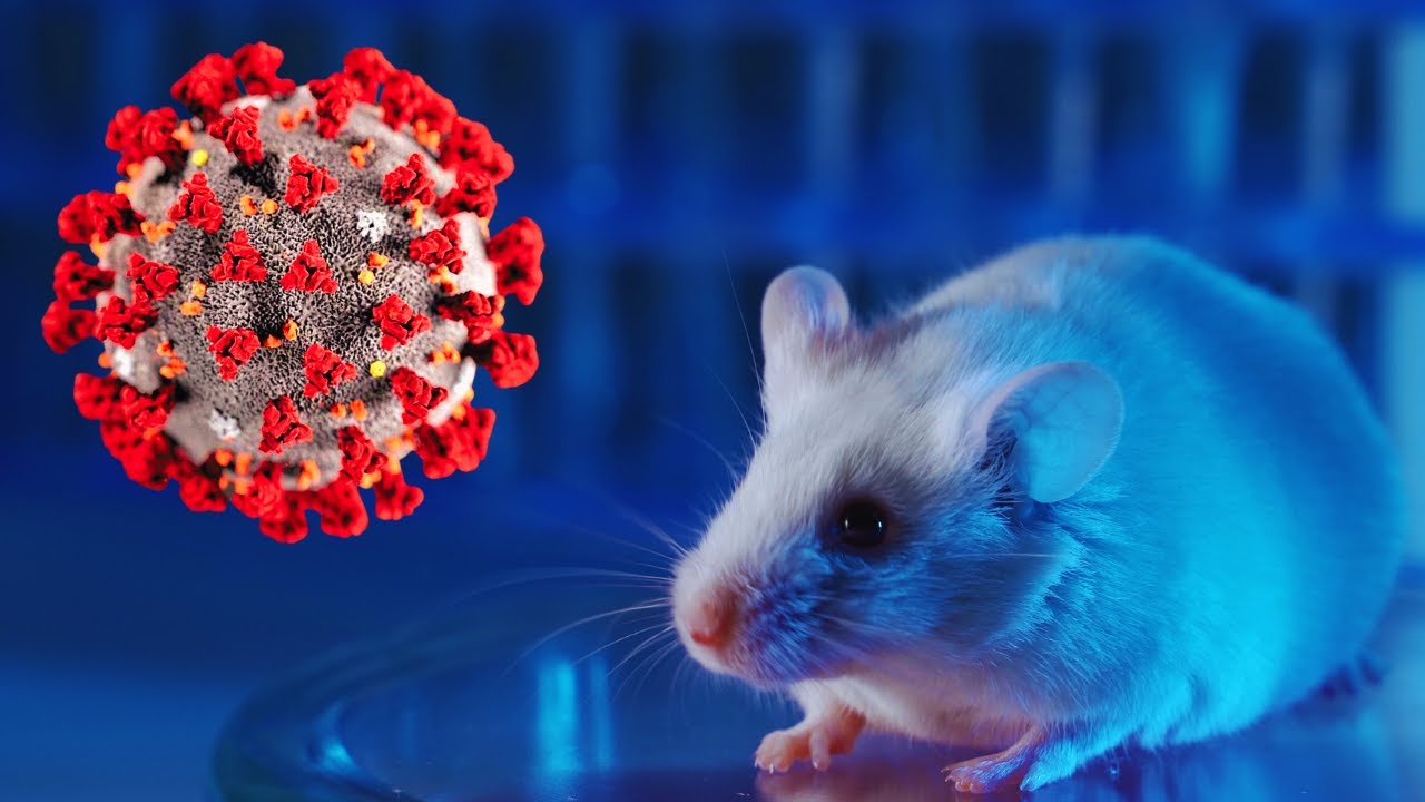 Secret Chinese Bio Lab Discovered in Fresno California - YouTube