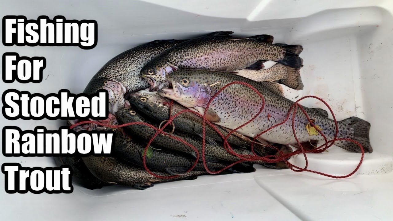Fishing for Stocked Rainbow Trout (Fall 2020) - YouTube