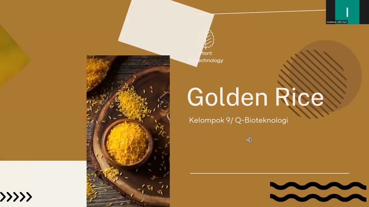 Plant Biotechnology : Golden Rice - Kelompok 9 - YouTube