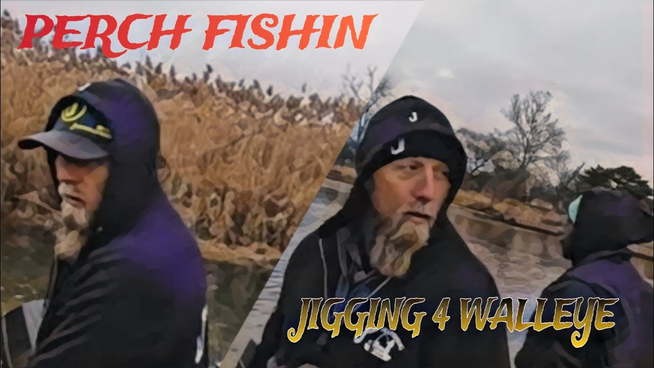 Perch fishing with some walleye jigging #fishing #perch #walleye - YouTube
