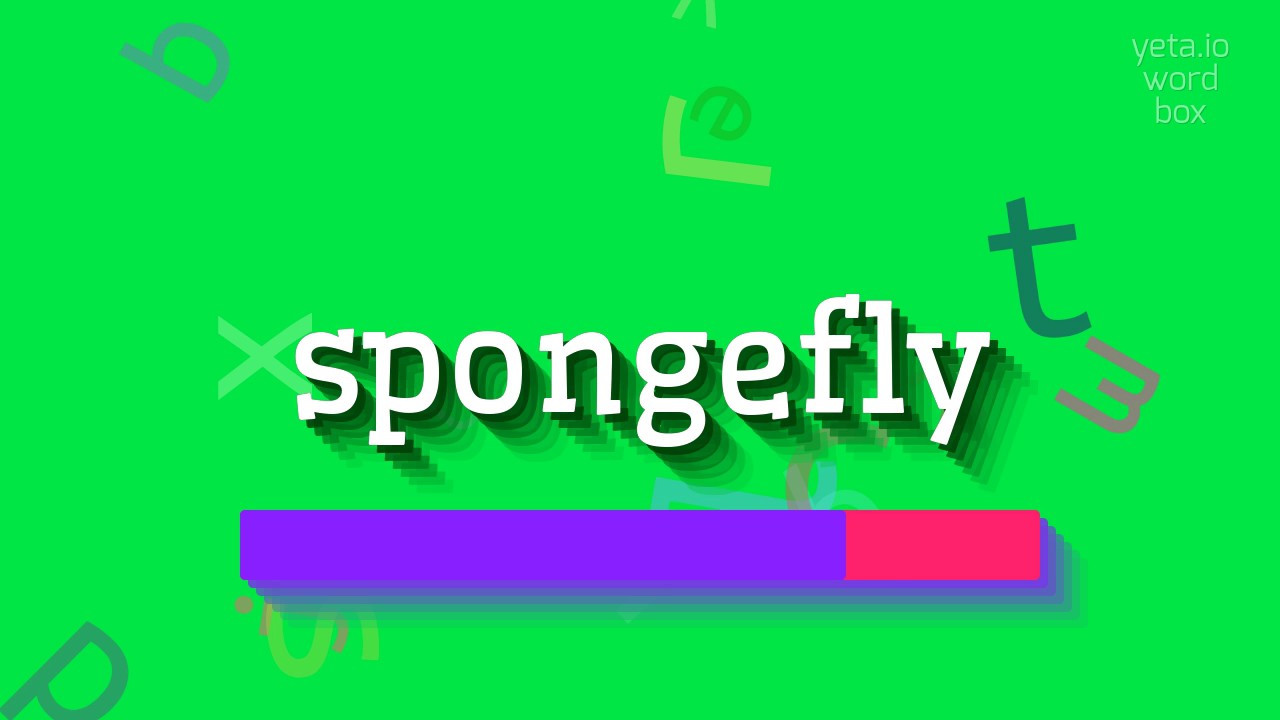 How to say "spongefly"! (High Quality Voices) - YouTube