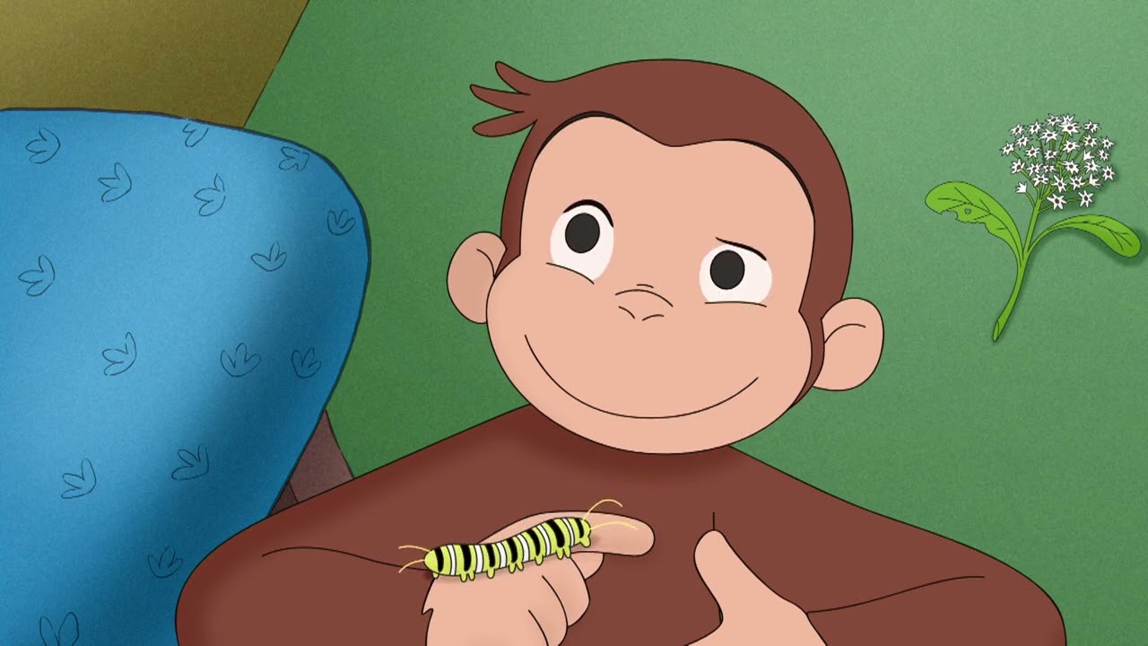 Hundley Cuida de uma Lagarta 🐵George O Curioso 🐵Jorge O Macaco Curioso ...