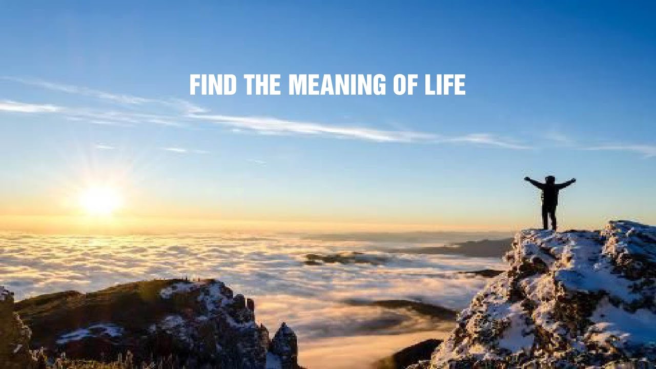 FIND THE MEANING OF LIFE - YouTube