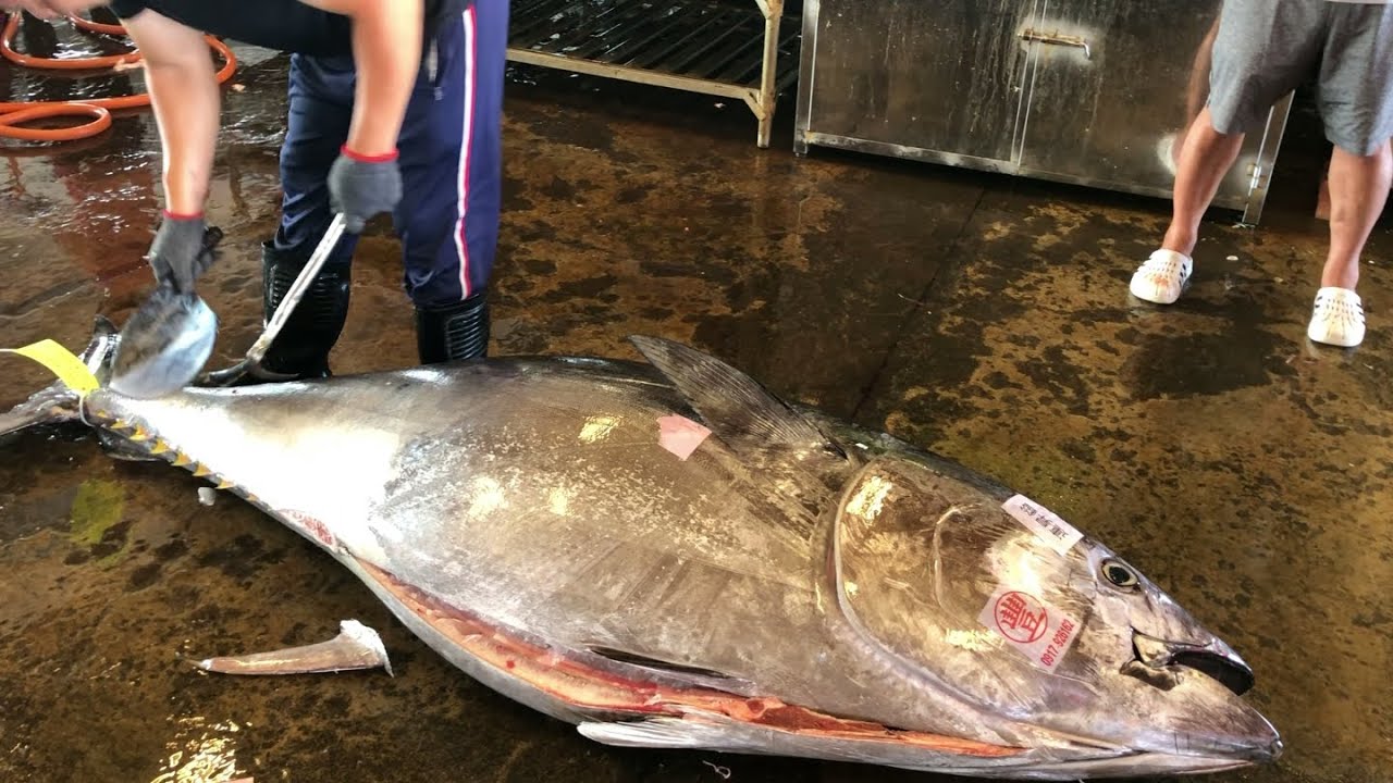 Carving the Crown Jewel: The Intricate Techniques of Bluefin Tuna ...