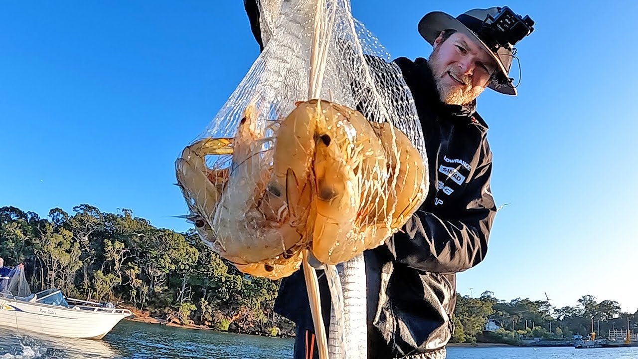 Prawning IN WINTER?!? These late season prawns are HUGE! (catch & cook ...