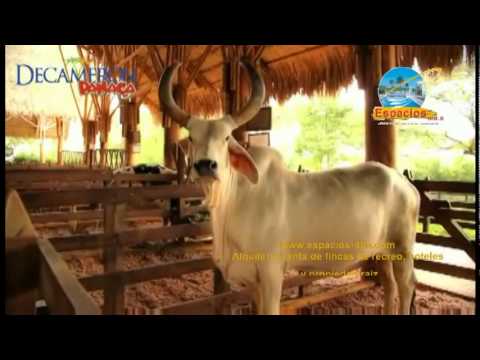 Hotel Decameron Panaca Quimbaya Eje Cafetero , Colombia Todo Incluido - YouTube