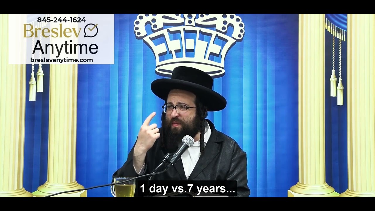 Rabbi Yoel Roth - A fly that lives for 1 day but fights for 7 years ...