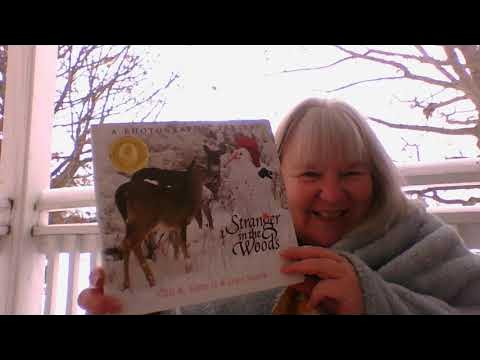 Stranger In The Woods Read Aloud - YouTube