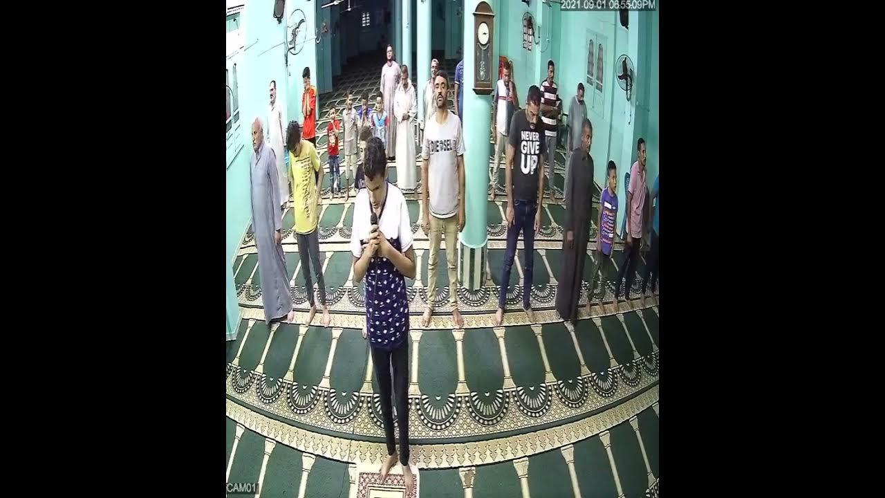 يا أيها الذين آمنوا لا تأكلوا أموالكم بينكم بالباطل قراءة رائعة سورة