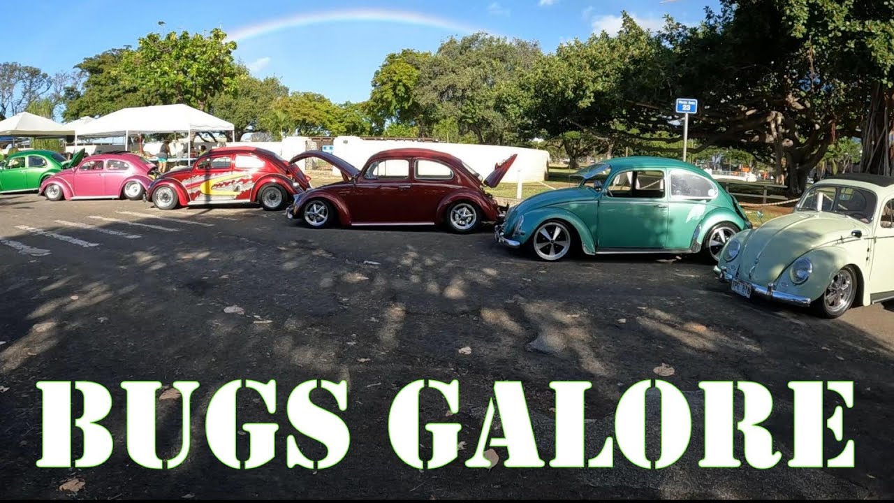 Bugs Galore - YouTube