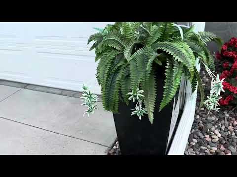 Effortless gardening with these amazing planters!  AMAZON FIND! #GARVEE