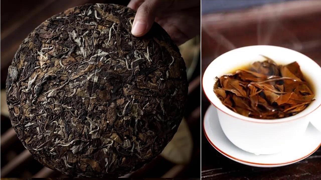 Tea For High Blood Pressure Fuding Shoumei Old White Tea Lowering tea-for-high-blood-pressure-fuding-shoumei-old-white-tea-lowering