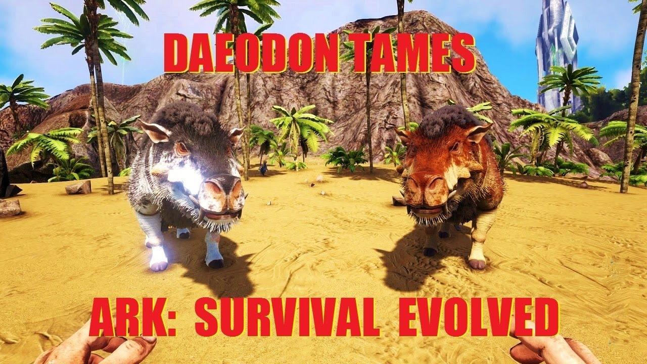 ARK: Survival Evolved | Female Daeodon Tame. - YouTube