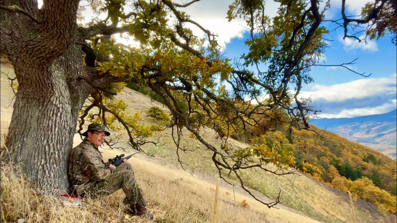 Hunting blacktail deer in Oregon - YouTube