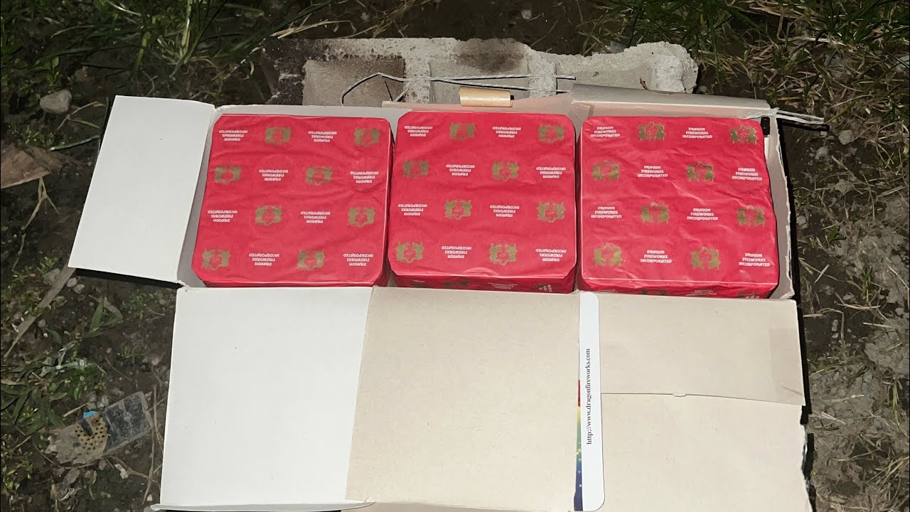 Dragon Tree of Life + Happy Holidays + Sword of Valor - YouTube