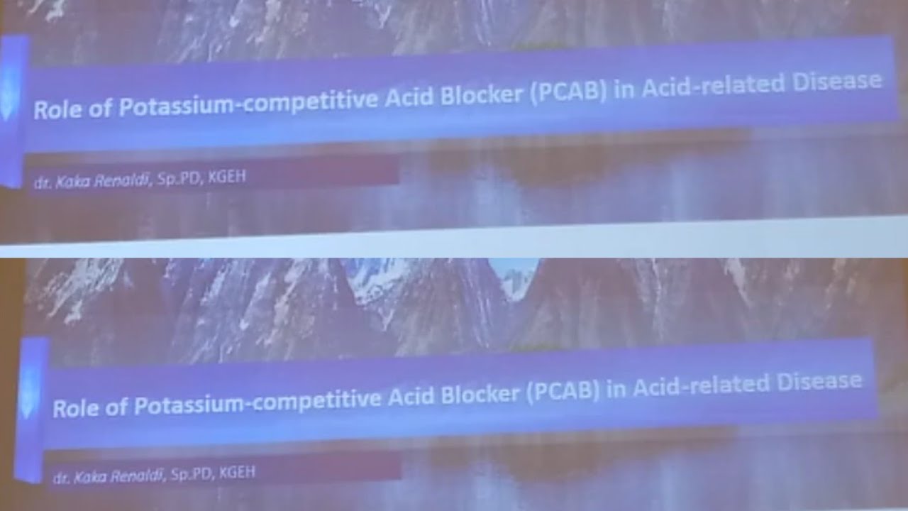 Role of potassium competitive acid blocker PACB in acid related disease ...
