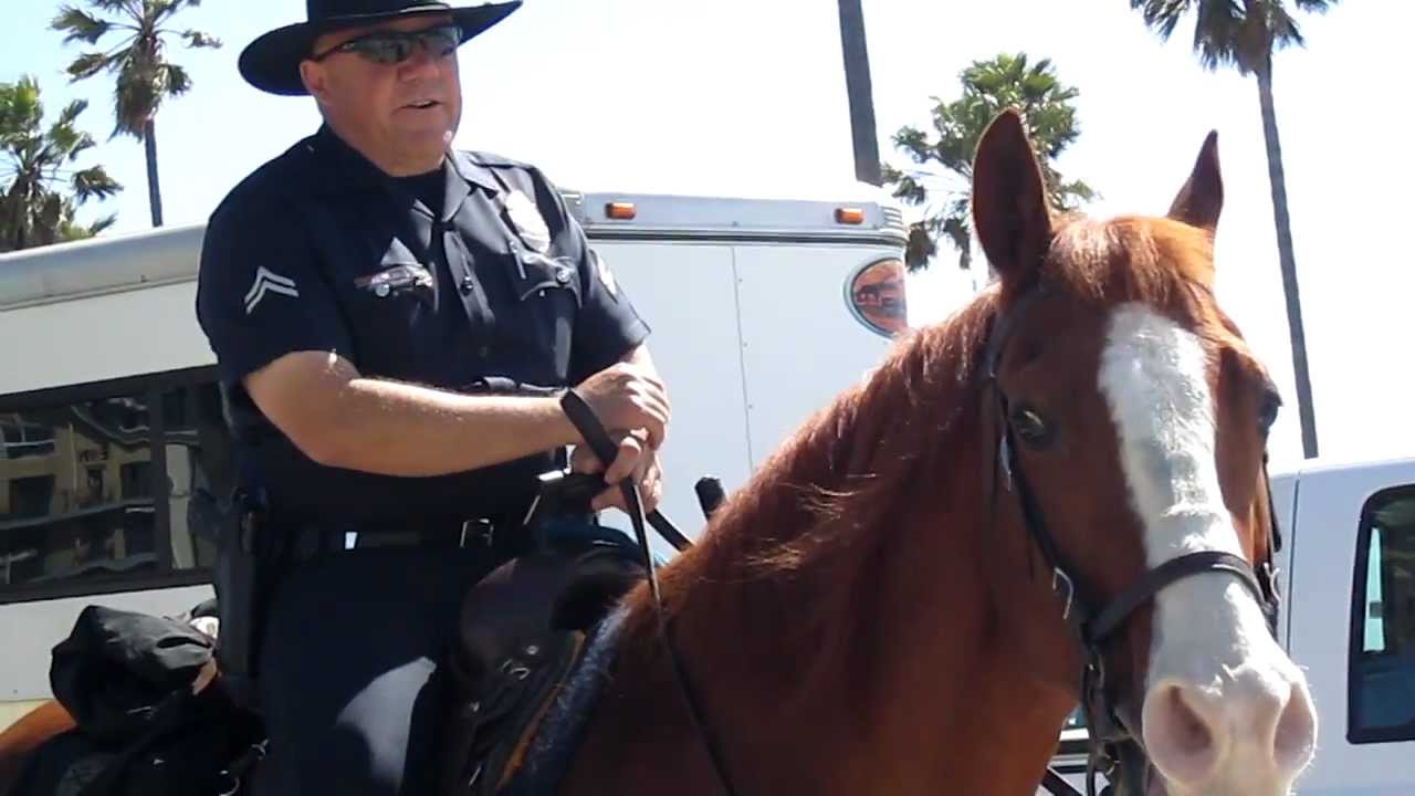 LAPD MOUNTED POLICE TELLS STORY VENICE BEACH CALIFORNIA APRIL 30, 2011 ...