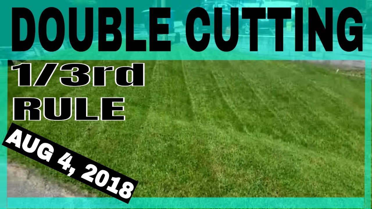 August 4th 2018 Lawn Care Update, Double Cutting the Lawn the one third ...