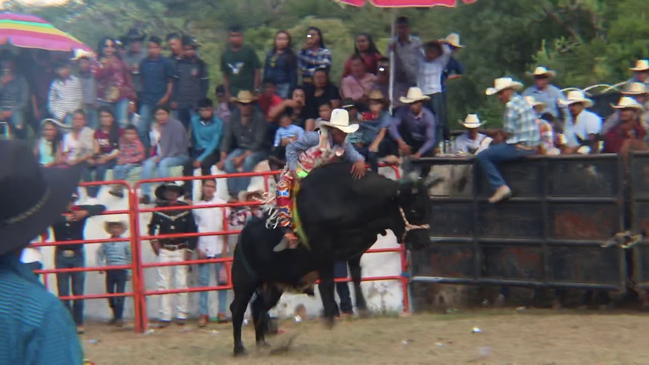 NIÑO MARAVILLA de Tupátaro Gto 🐂🇲🇽 - YouTube