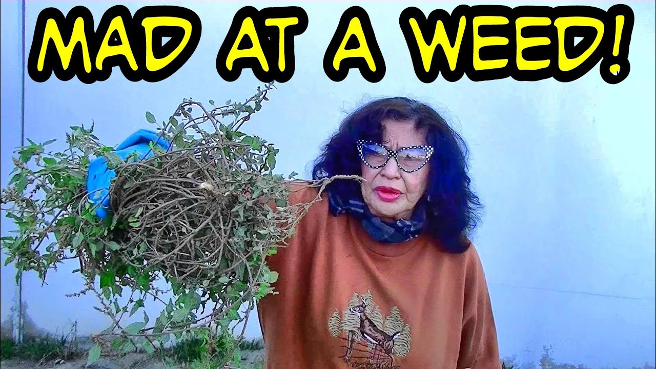 Mad At A Weed!? - YouTube