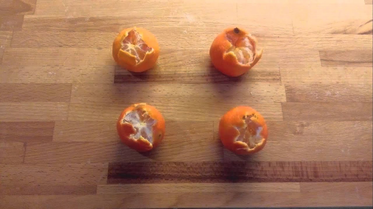 Stop Motion / Fruit Salad! | HappyKitchen - YouTube