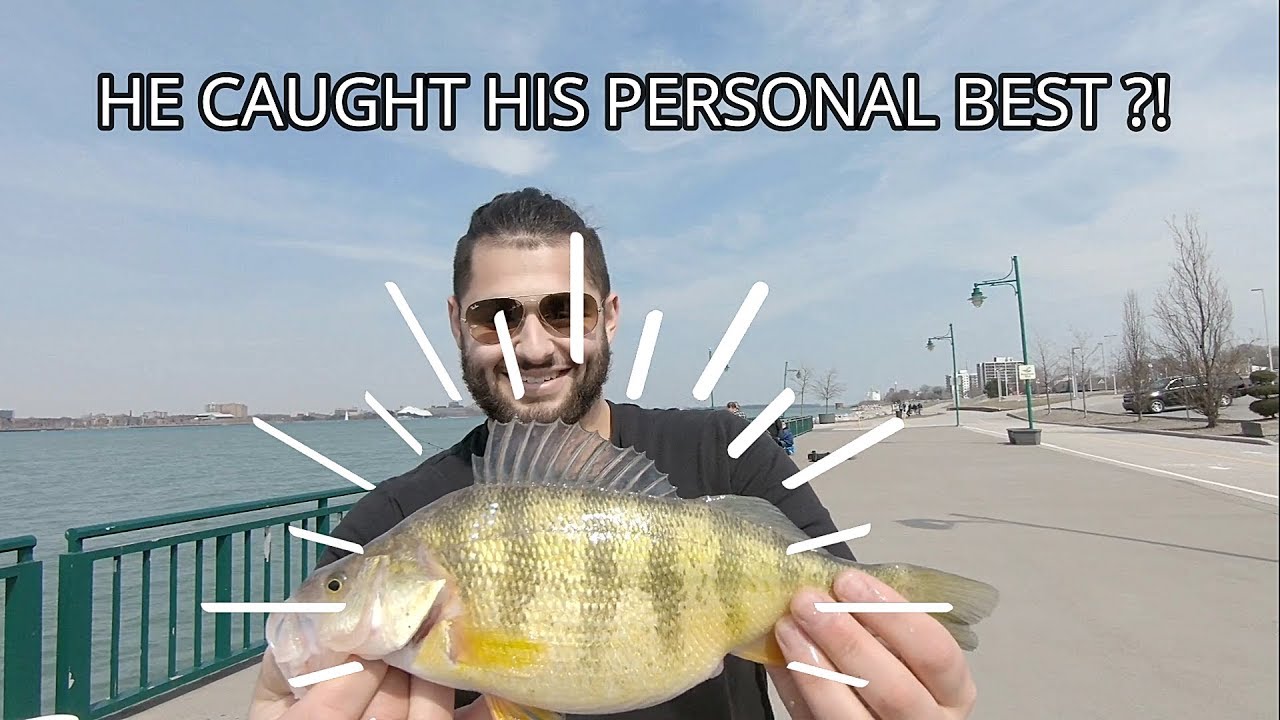 Fishing for Big Perch- Personal best caught! - YouTube
