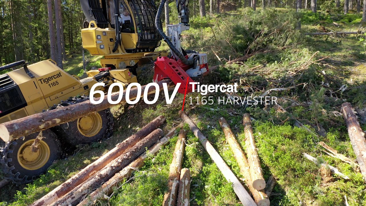 Log Max 6000V (2020) - Tigercat 1165 - YouTube