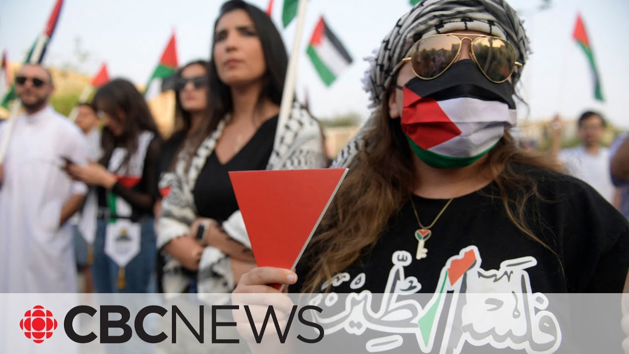 What do red triangles at pro-Palestinian protests symbolize? - YouTube