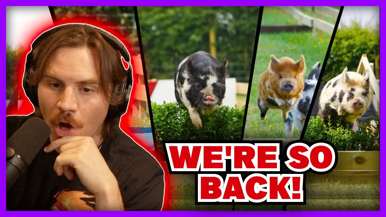 League Of Pigs (S10 - R2) - Will Neff Reacts - YouTube