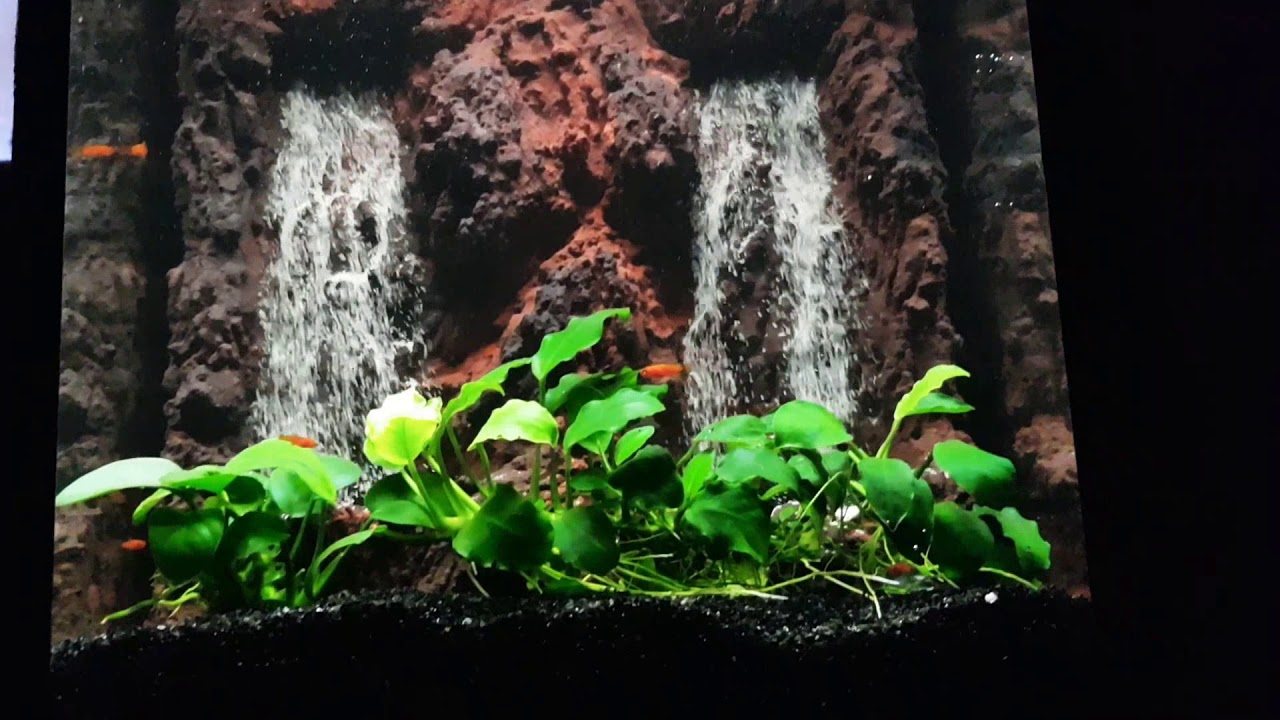 Nano tank -- Aquarium Sand Waterfall 92 - YouTube