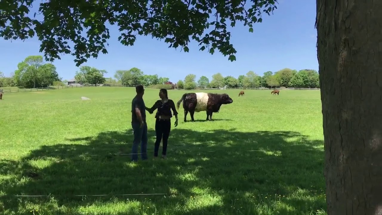 Rhode Island Farm Side - YouTube