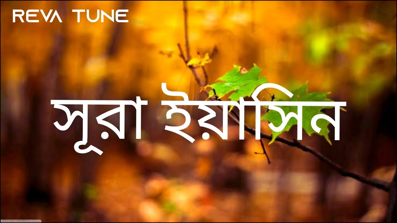 Sura Yasin || Sura Yeasin || Sura Yesin || sura yasin || সূরা ইয়াসিন ...