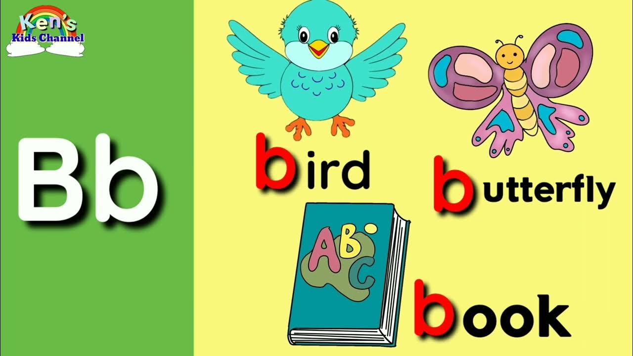 Letter Bb | Letter B Sound | Objects Beginning with Letter Bb - YouTube