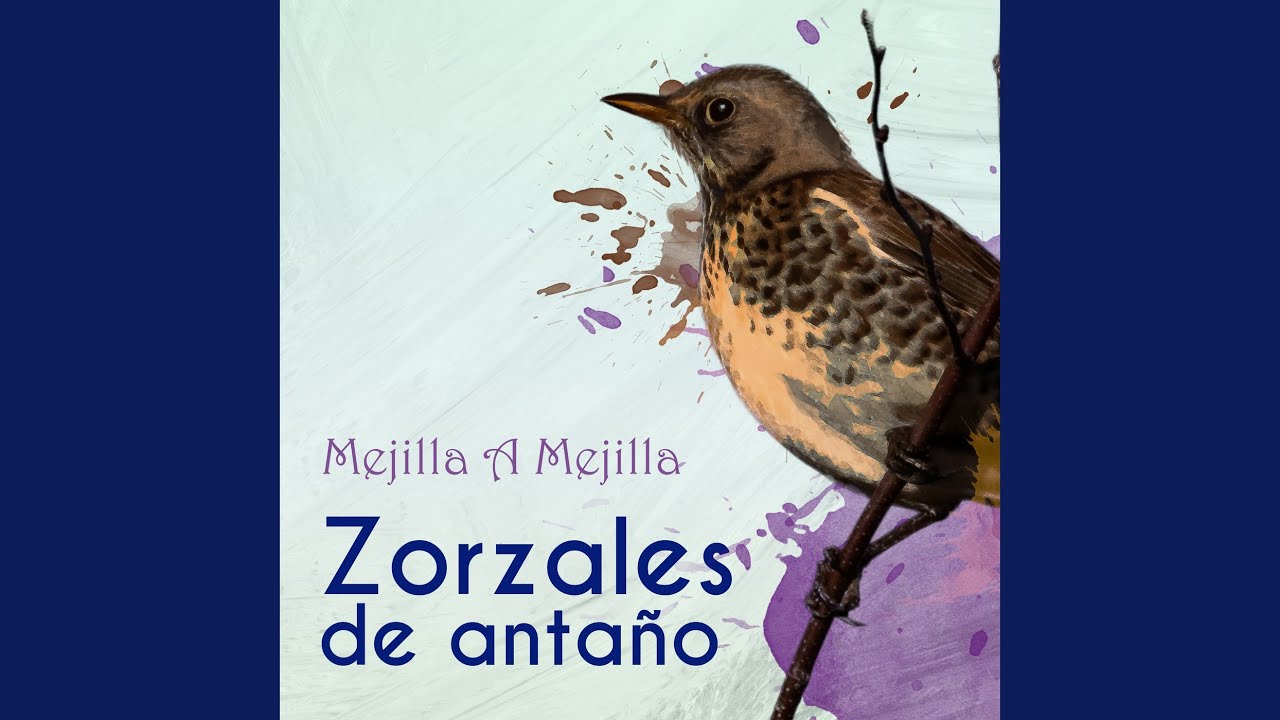 Farolito - YouTube