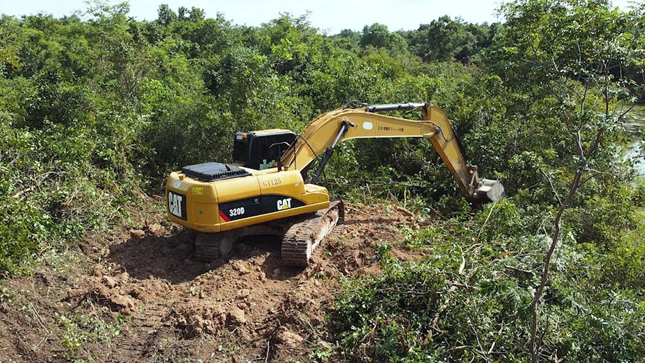 Incredible 320D huge excavator clearing big trees & tree roots -New ...