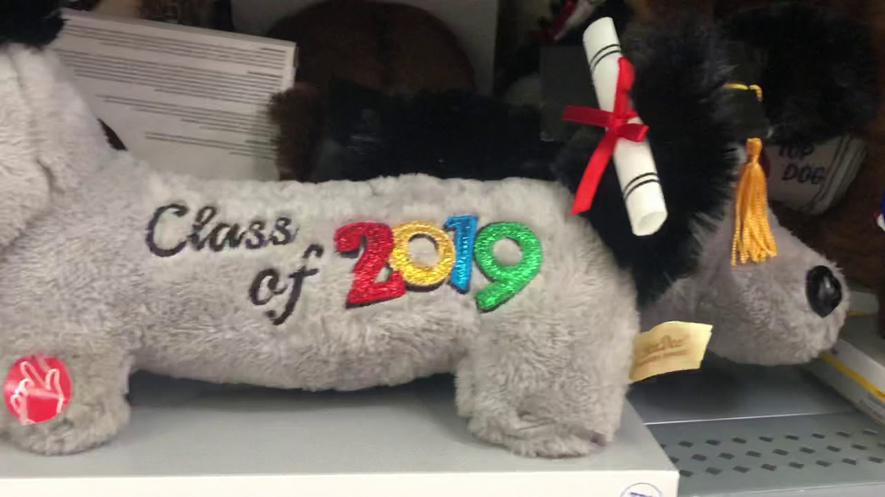 Dandee animated graduation ear flapping dog - YouTube