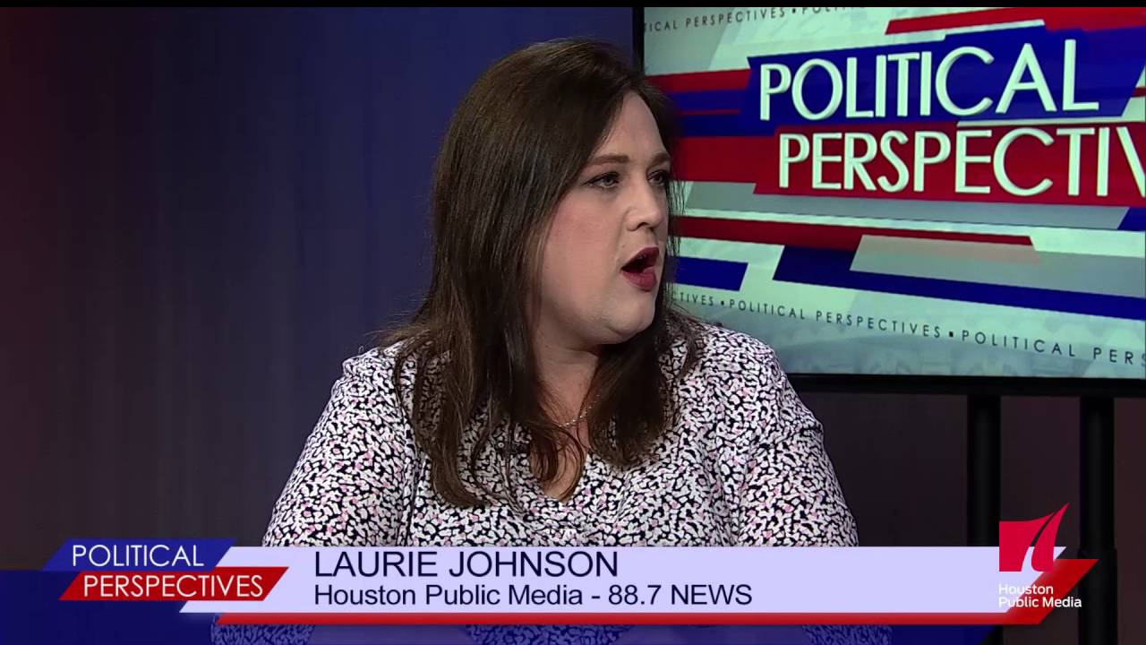 Political Perspectives: A Closer Look at Harris County Precinct One ...